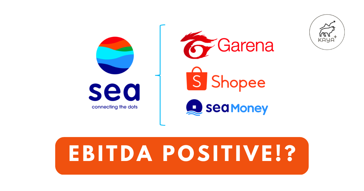 Sea Ltd Q4'22 - The bad side that the news ignore - Kaya Plus